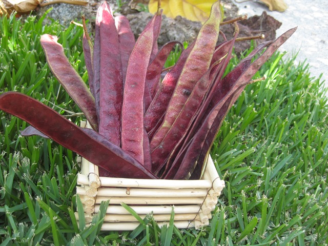 Gusta Usted | GUAXMOLE O HUAXMOLE PATRIO - Gusta Usted